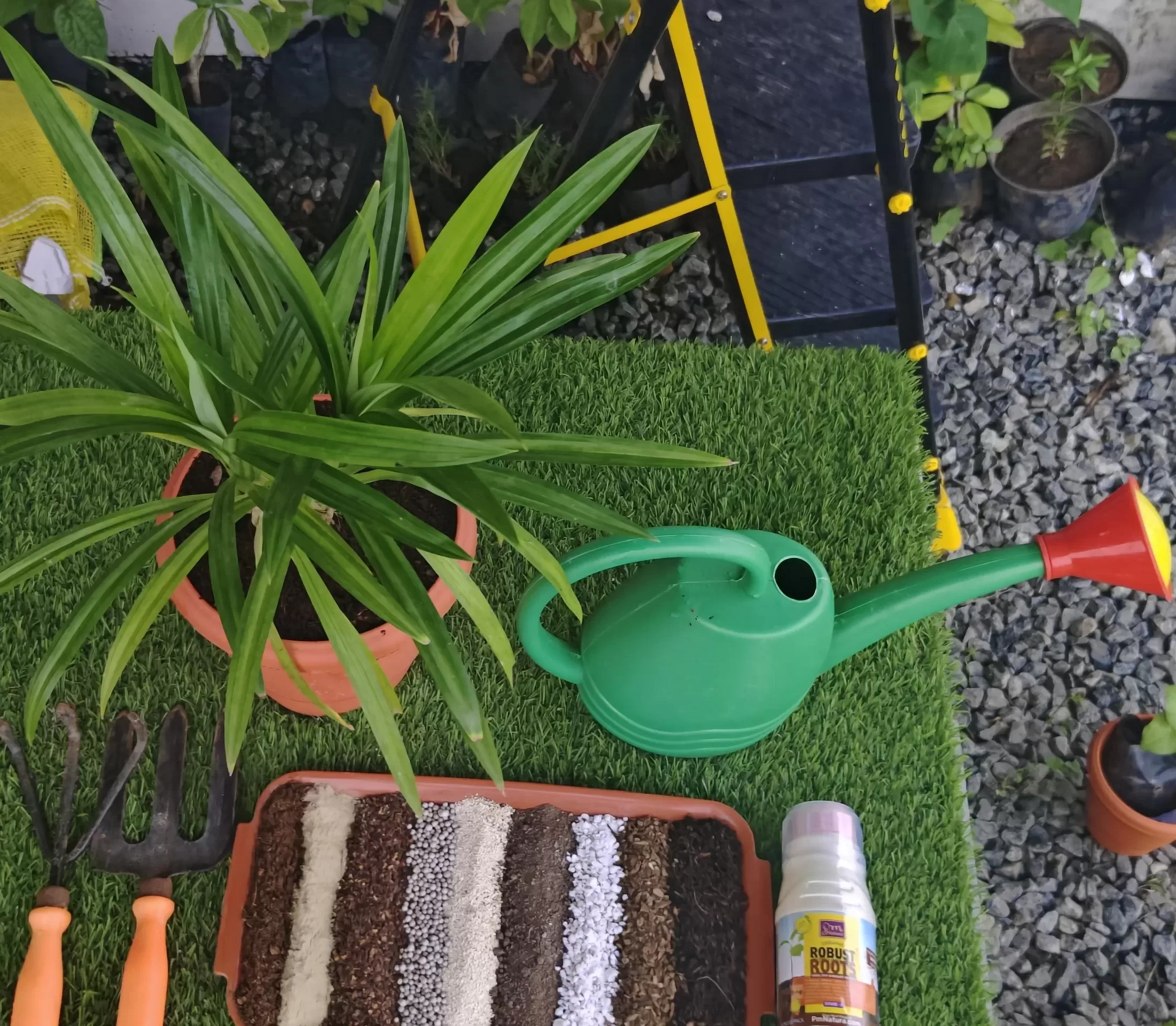 Choosing the Perfect Potting Mix for Your Gardening: The Importance of ...